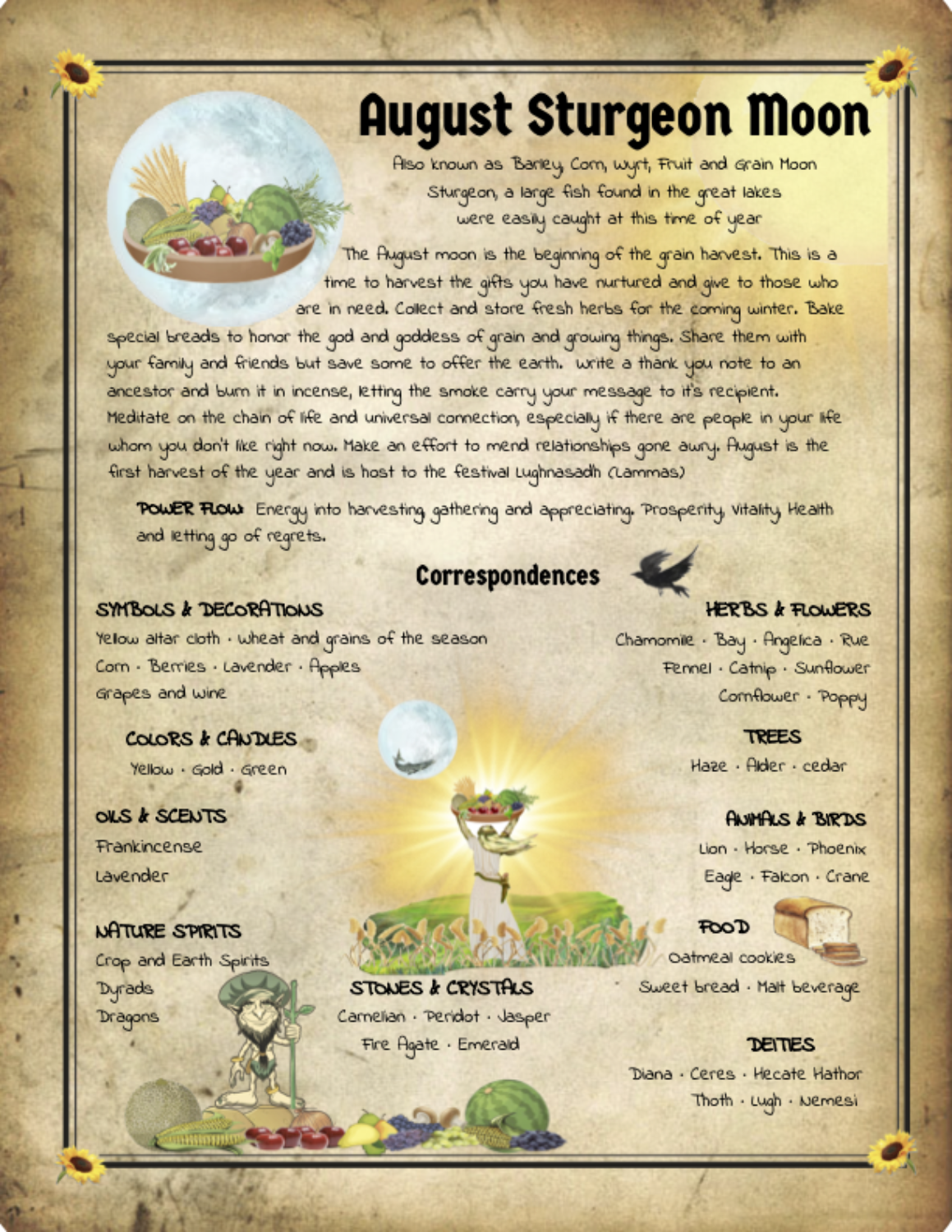 August Full Moon | Book of Shadows